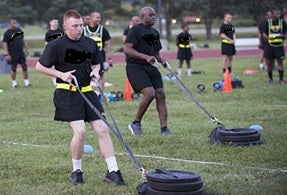 ACFT - Drag Sled and Strap Pack – DIAMOND FITNESS SYSTEMS